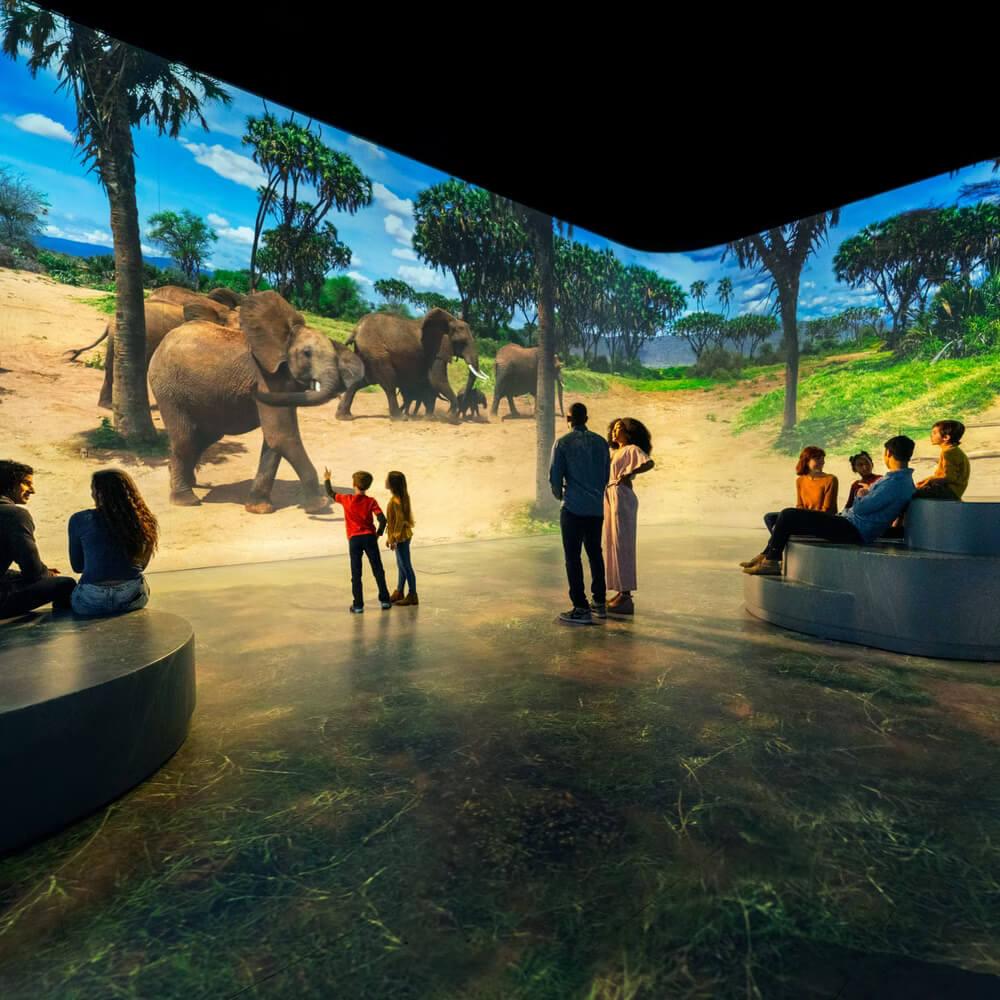 אילומיניום - Illuminarium | חוויית קולנוע תלת מימד 4K 5D בלאס וגאס